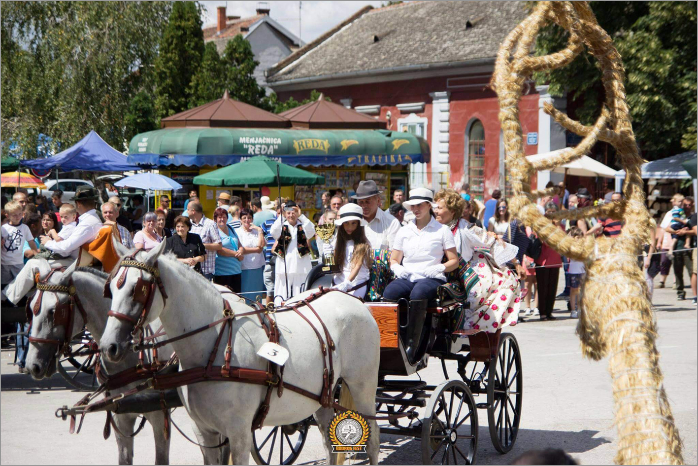 MITSKI BODROG – Ravnoplov