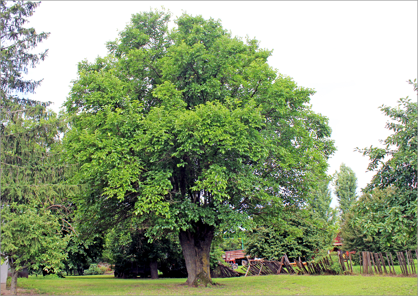 DUD – Ravnoplov